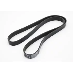 V-Belt | Marine Diesel Engine Parts